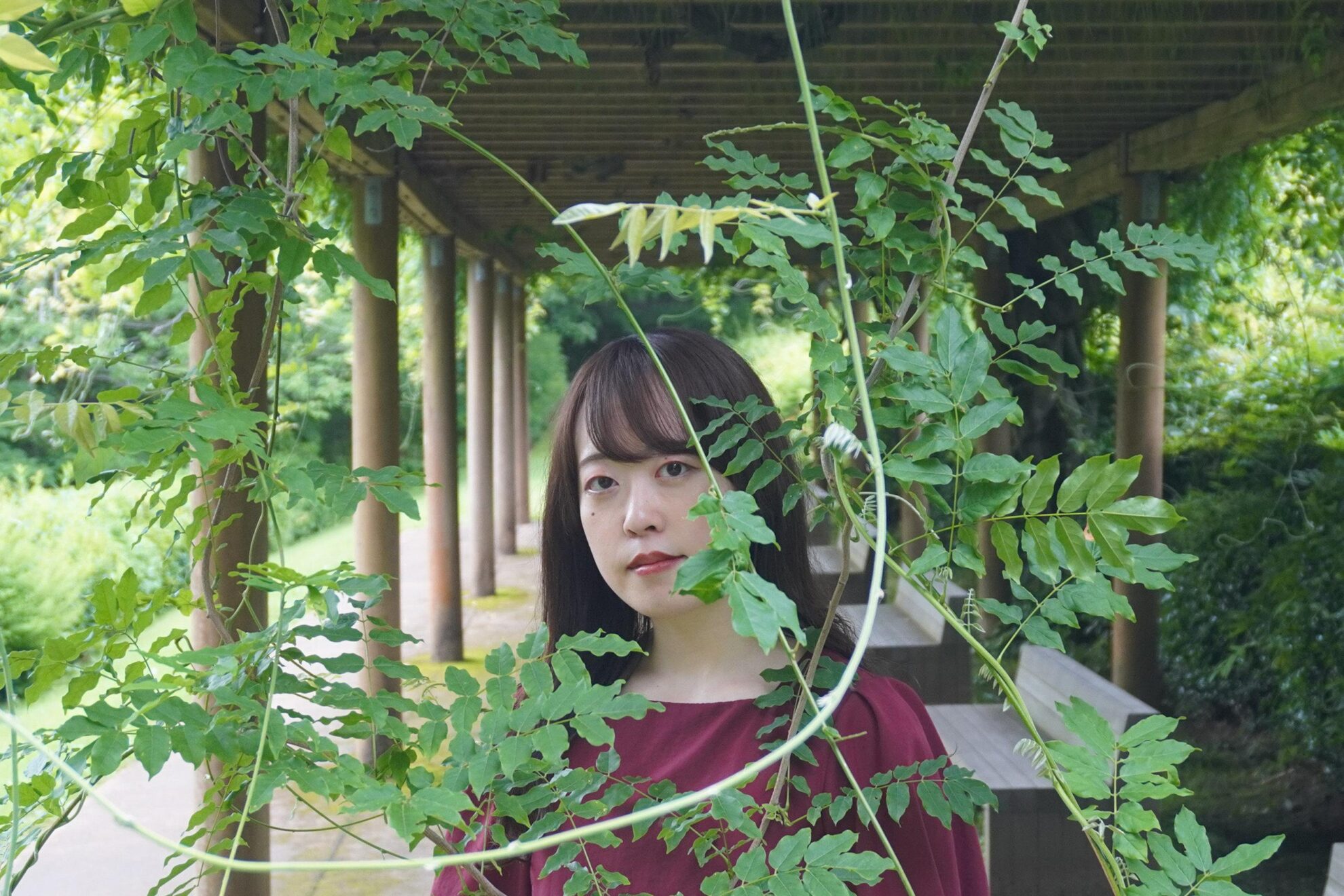 2025/10/5 - biscuit gallery