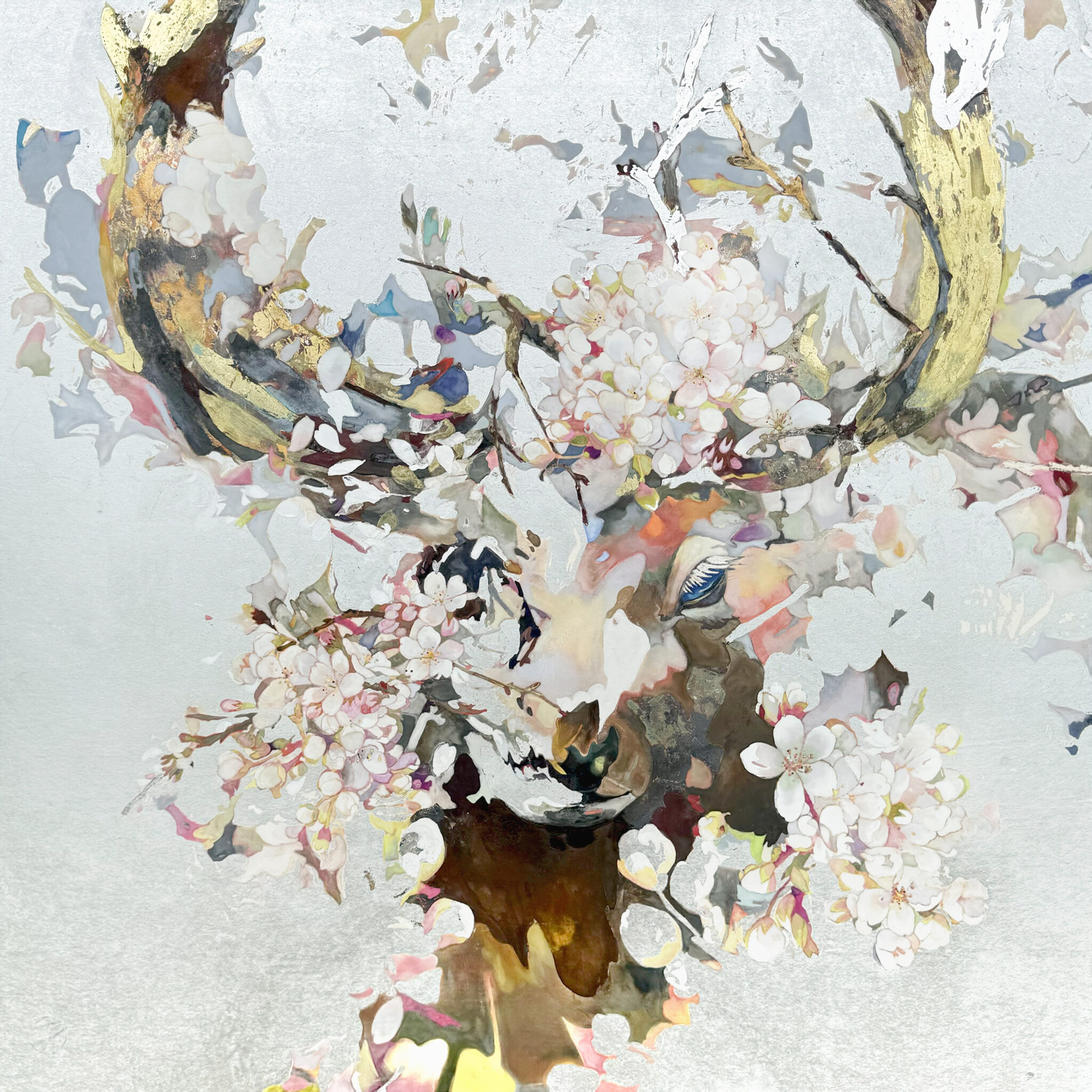 Top - biscuit gallery