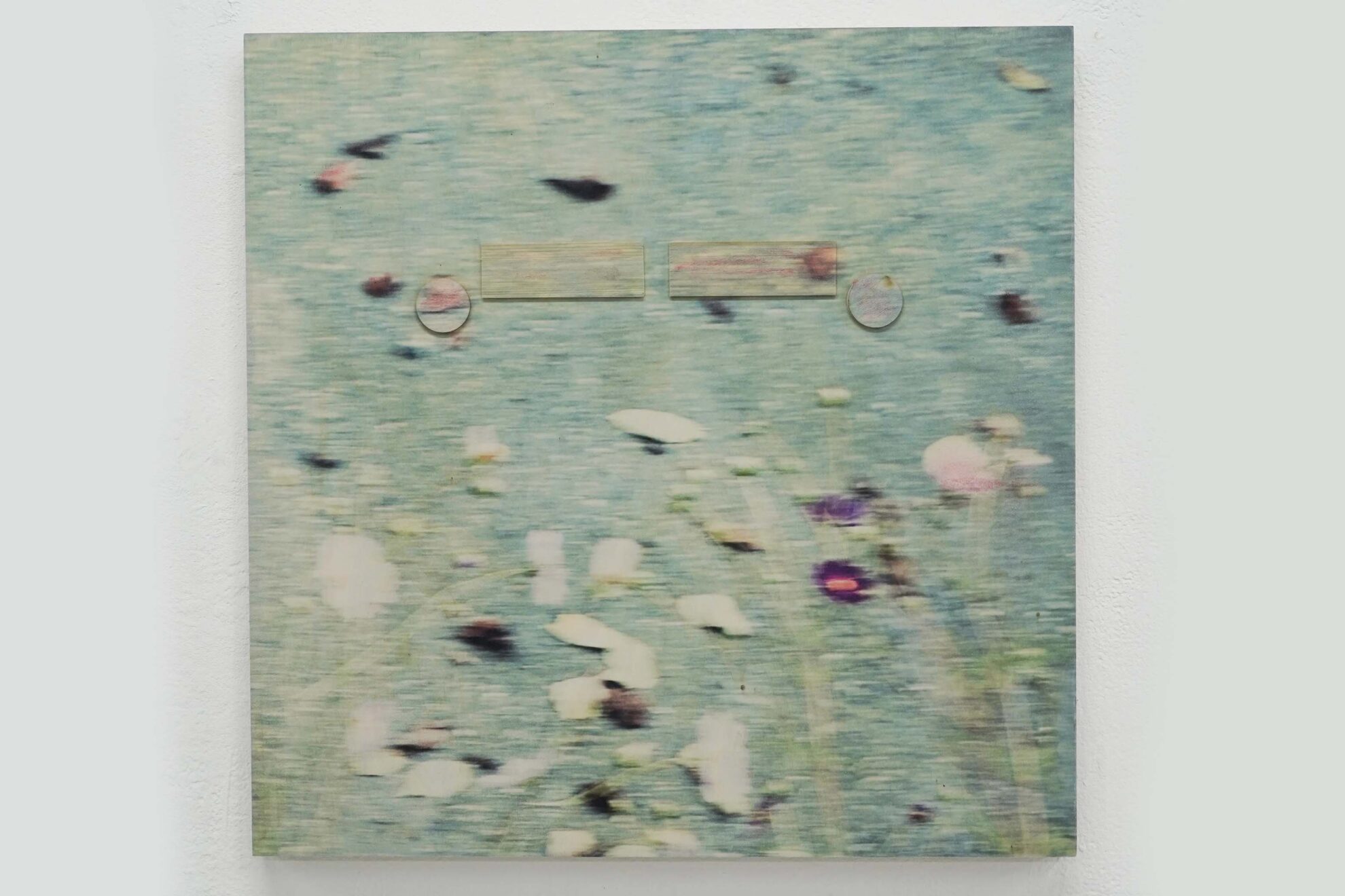 Top - biscuit gallery